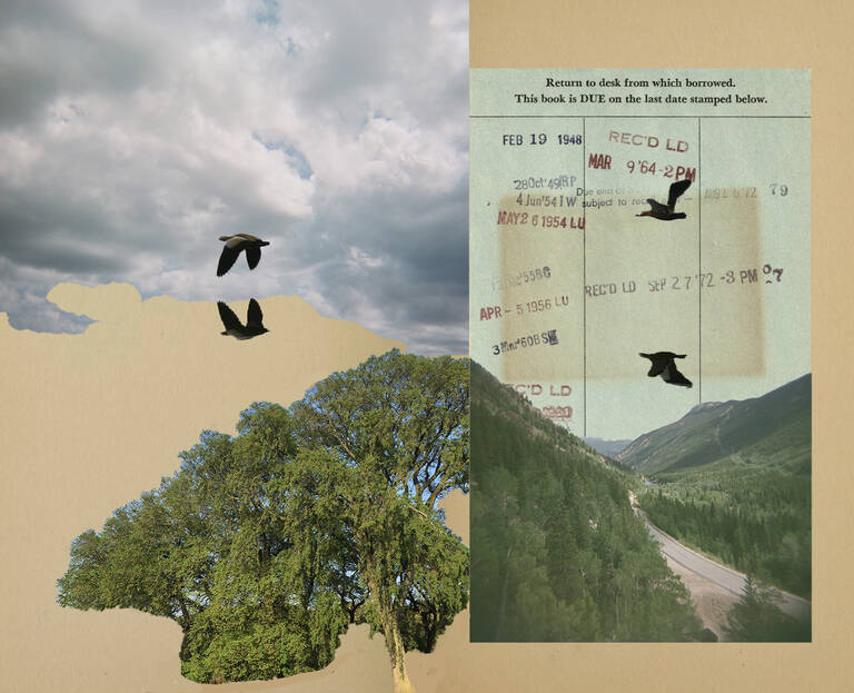 A Found Poem from a Never Returned Book – Nightingale & Sparrow