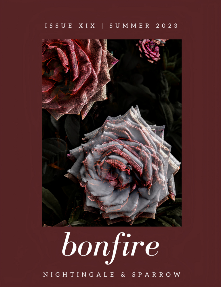 bonfire – Nightingale & Sparrow